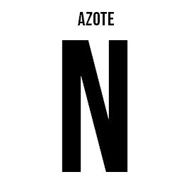 Cycle de l'azote aquarium, comment et pourquoi ? - AQUARIUM FACILE